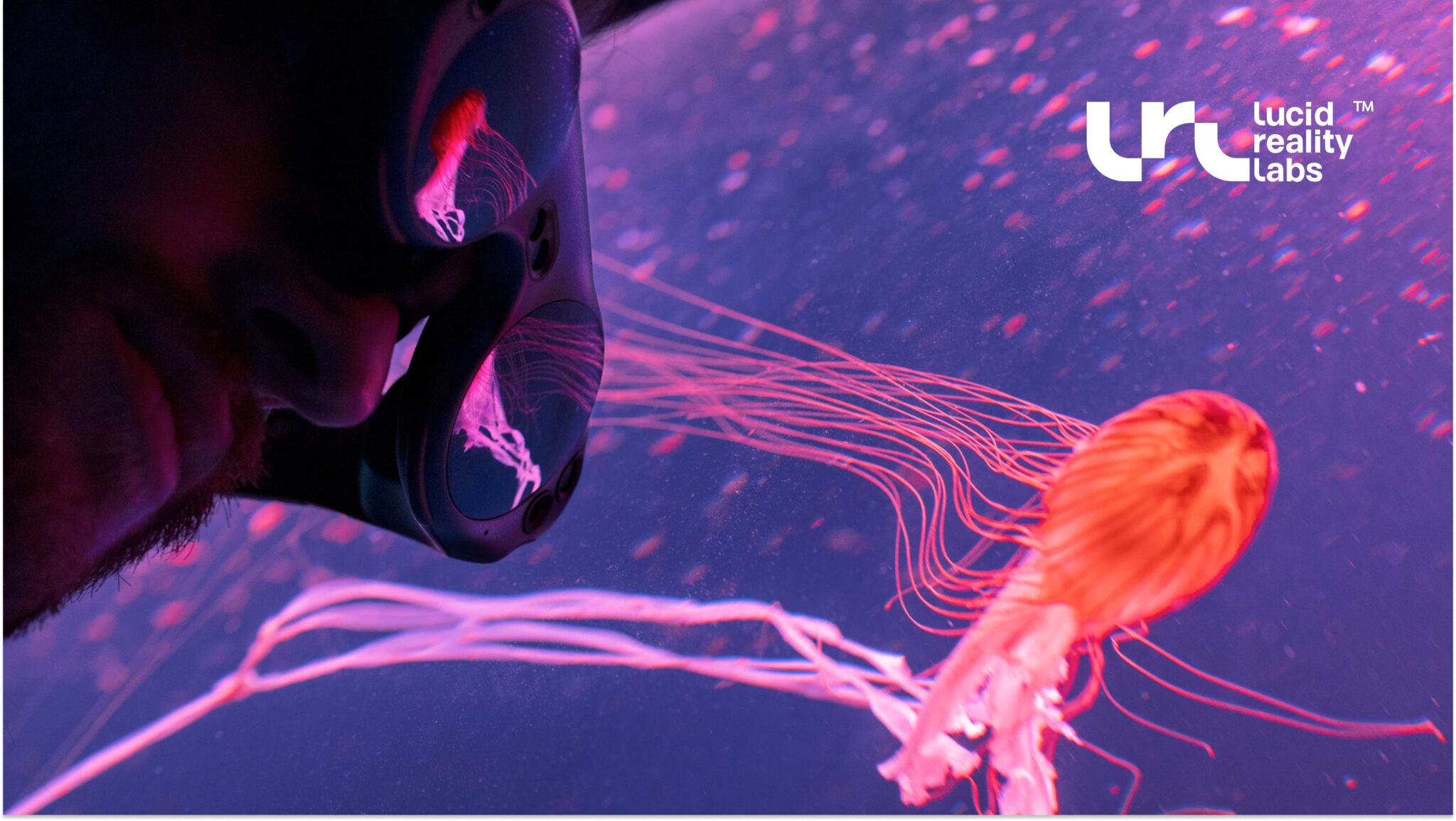 Lucid Reality Labs - ArborXR Directory